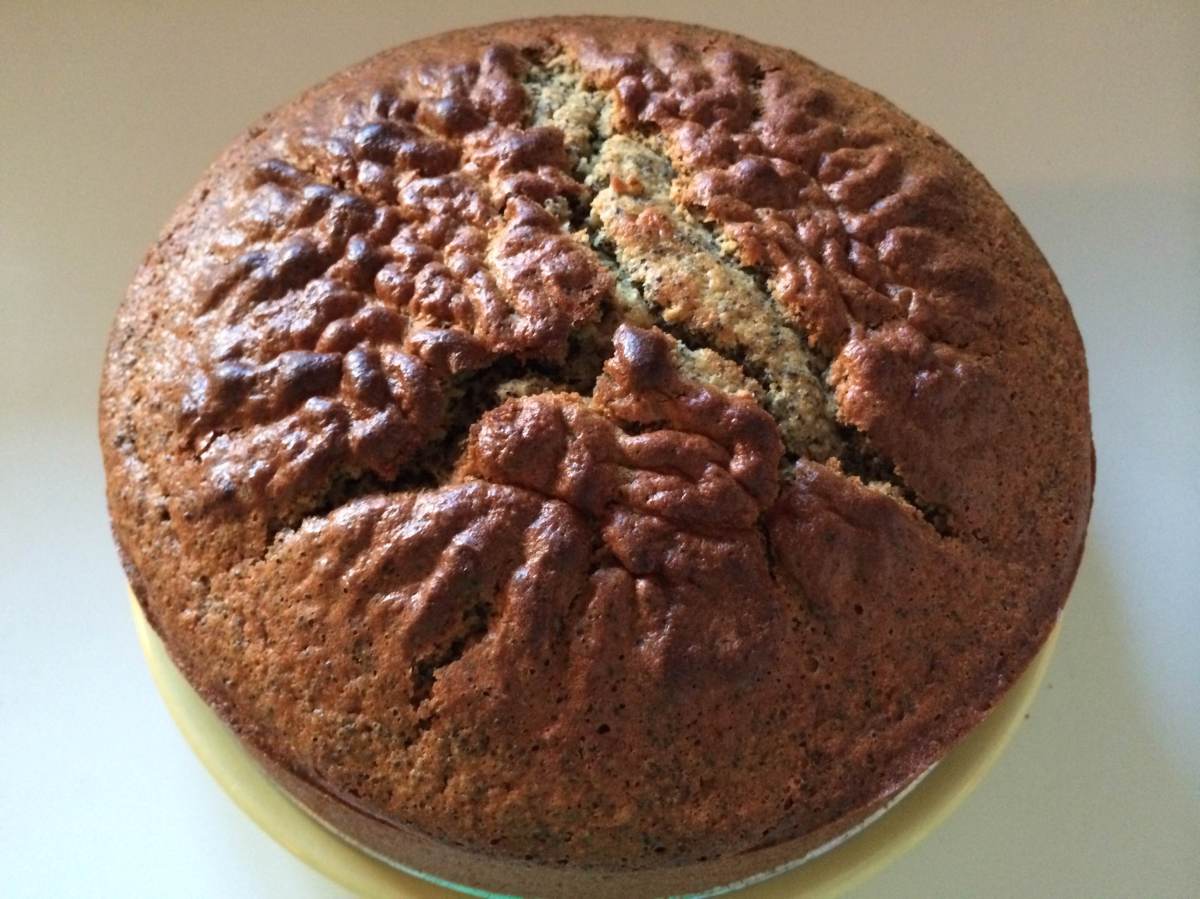 A Dense & Delicious Poppyseed Cake | Maui Girl Cooks